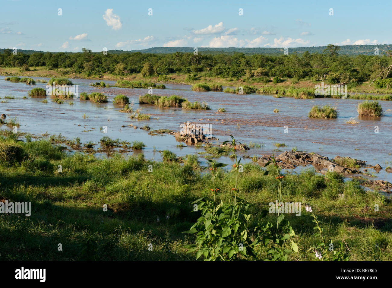 Shingwedzi river, Kruger National Park, South Africa Stock Photo - Alamy