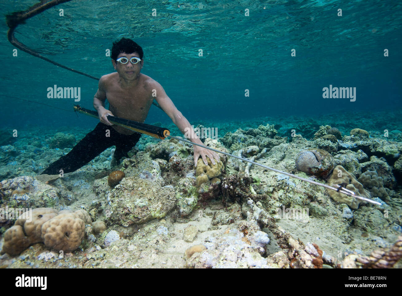 Fisherman hunting fish with a primitive harpoon in the Bunaken National ...