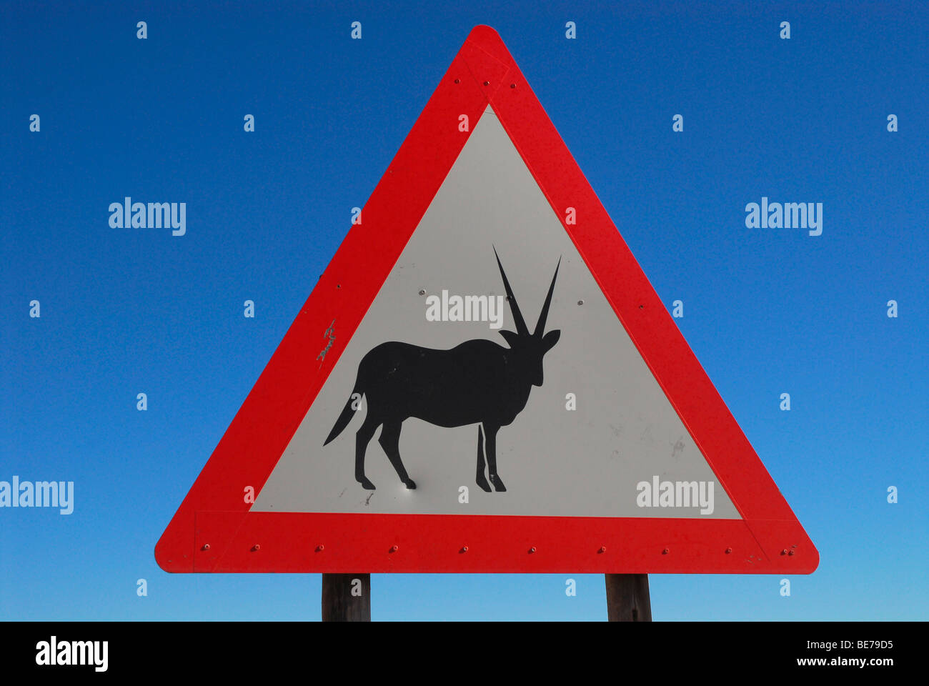 Antelope warning sign hi-res stock photography and images - Alamy