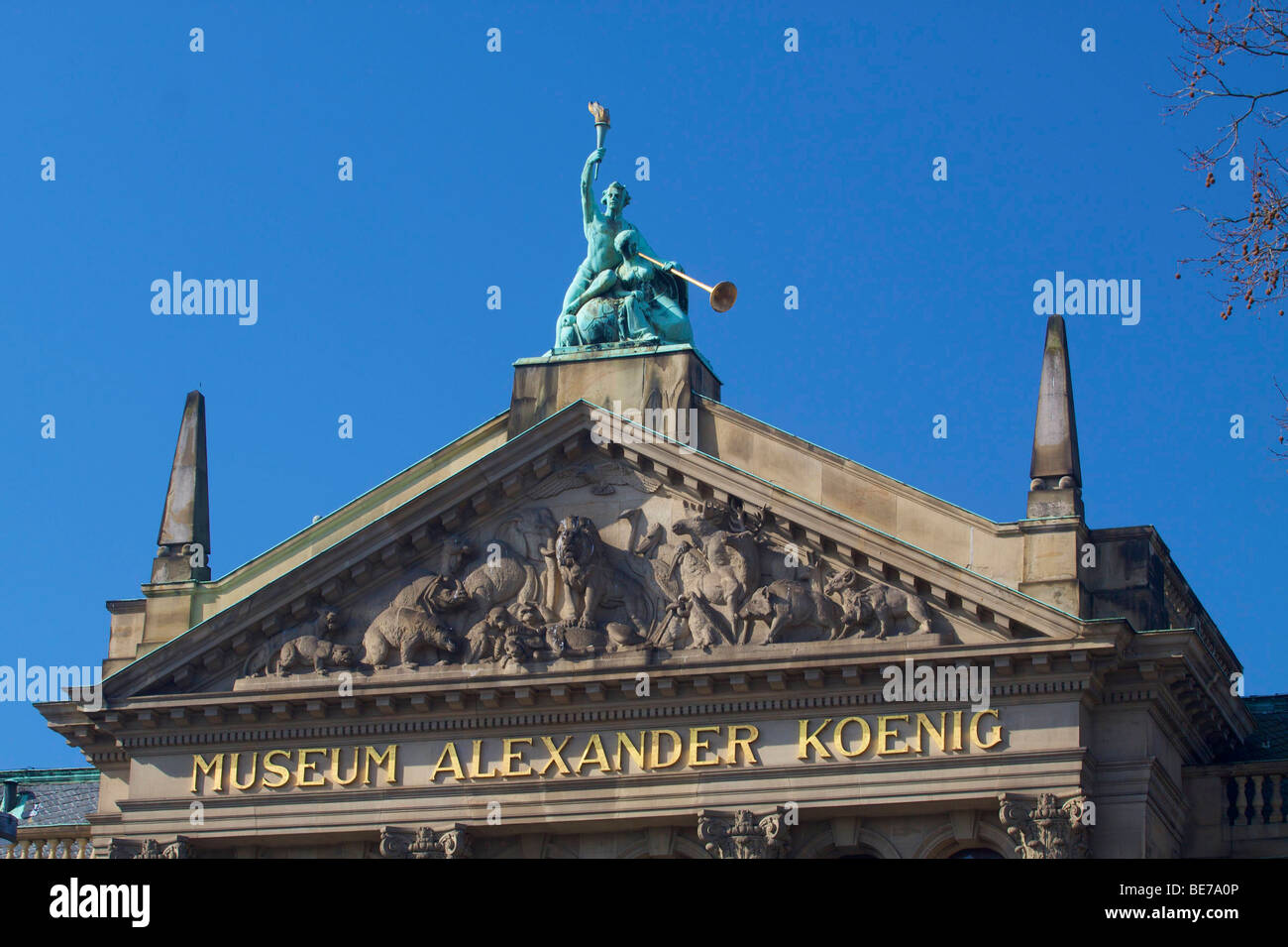 Alexander Koenig Museum, Zoological Research Museum, Bonn, North Rhine ...