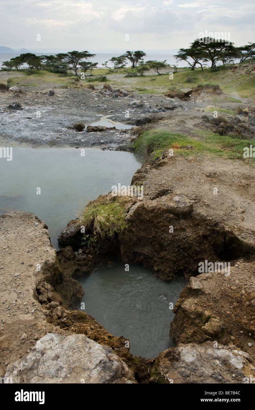 Hot springs at lake Shala, Abiata-Shala National Park, Ethiopia Stock ...