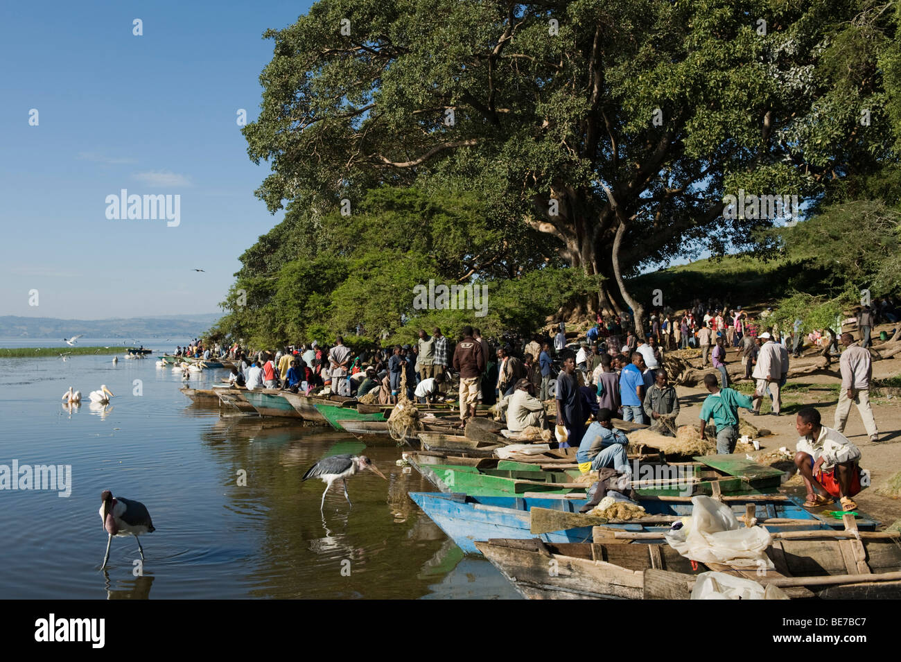 Fish market, lake Awassa, Ethiopia Stock Photo - Alamy