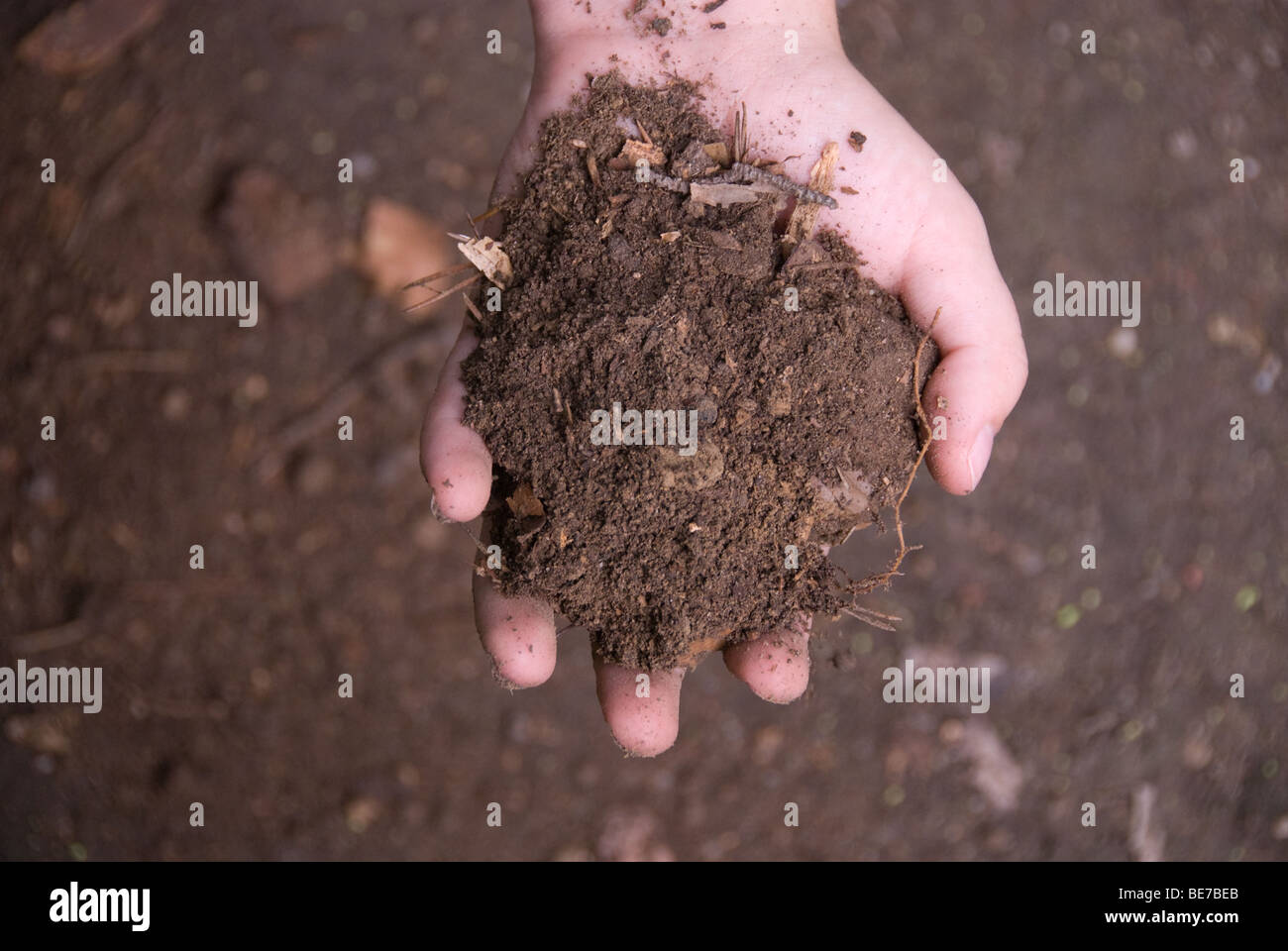 Hand full of soil Stock Photo - Alamy