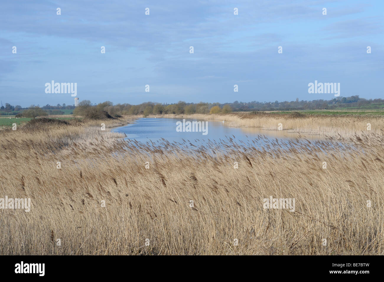 Kingsfleet hi-res stock photography and images - Alamy