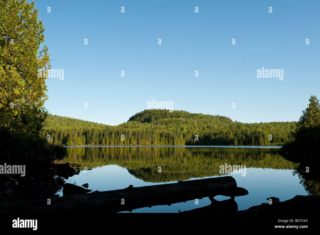 Whale in lake hi-res stock photography and images - Alamy