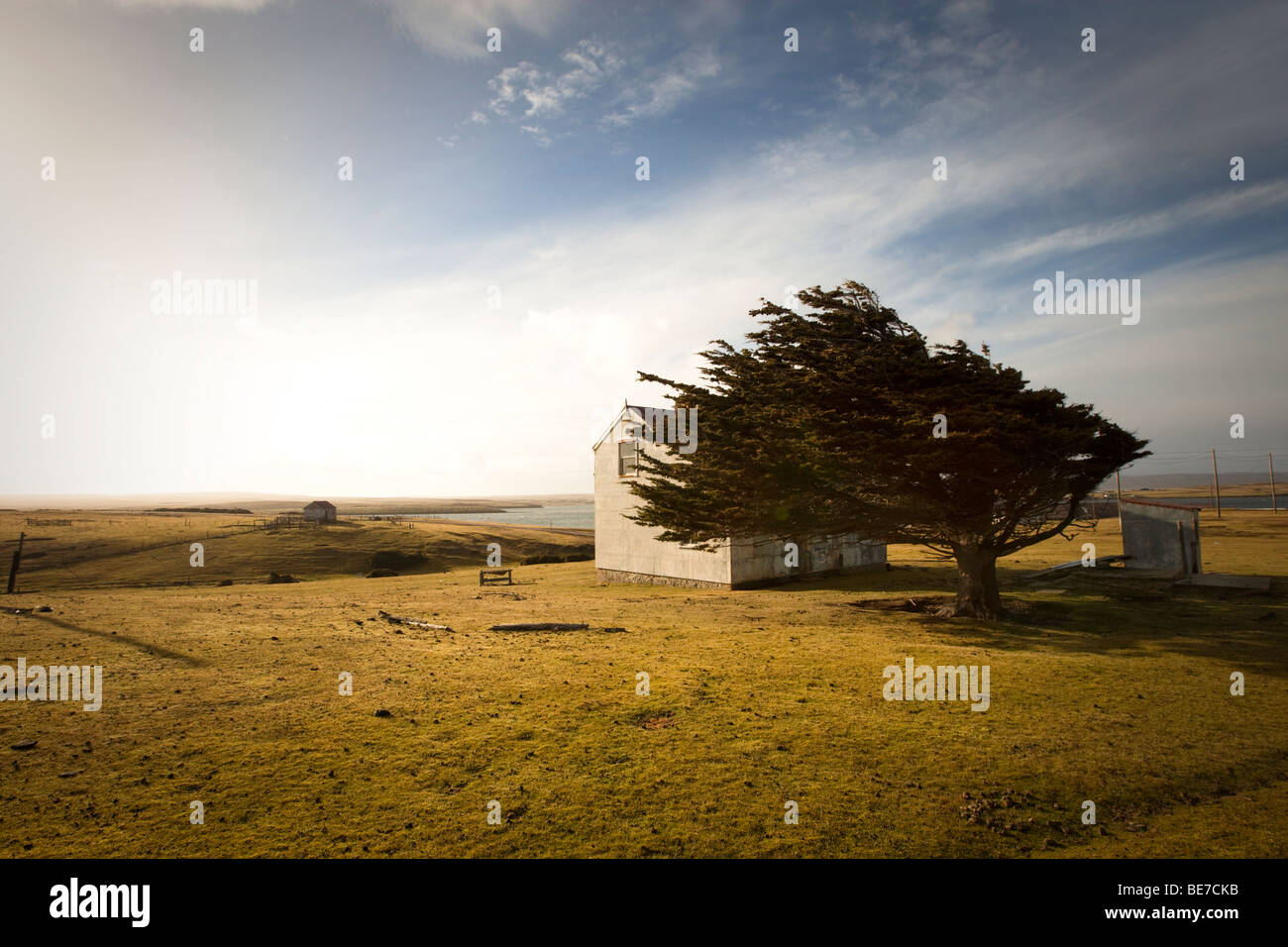 Fox bay falklands hi-res stock photography and images - Alamy