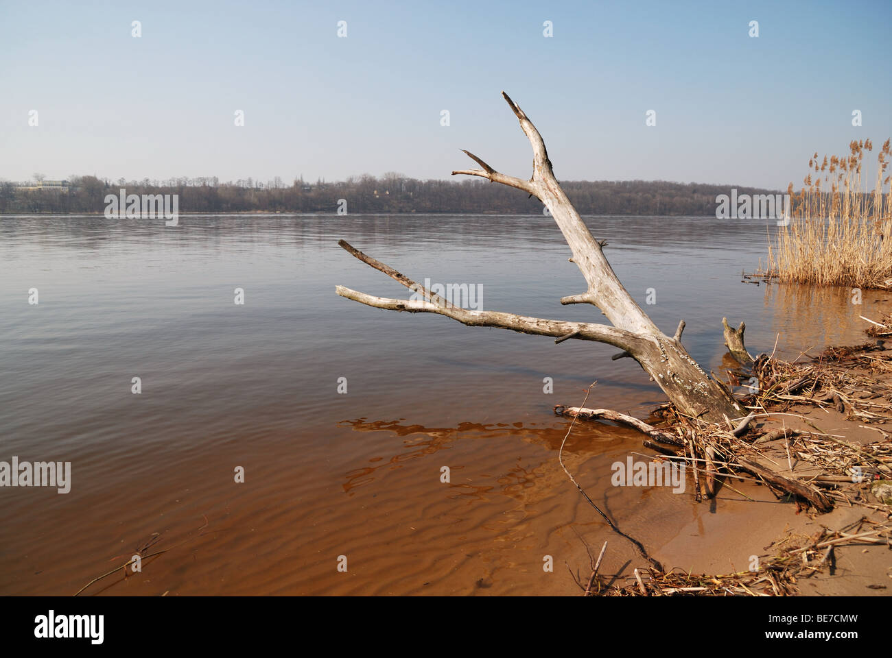 Dead river beach hi-res stock photography and images - Alamy