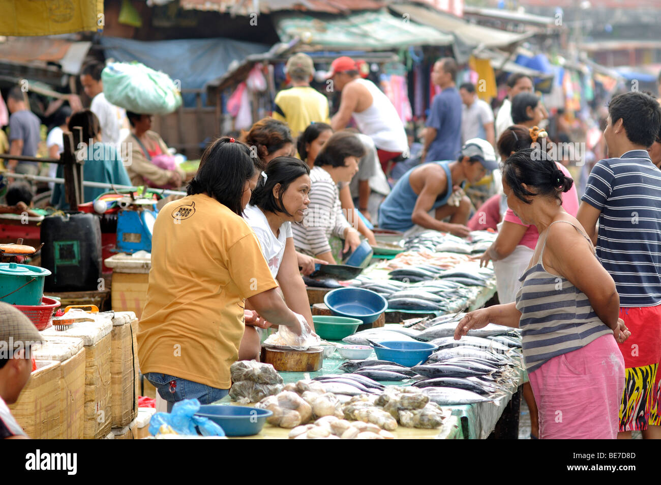 Fish market seafood philippines hi-res stock photography and images - Alamy