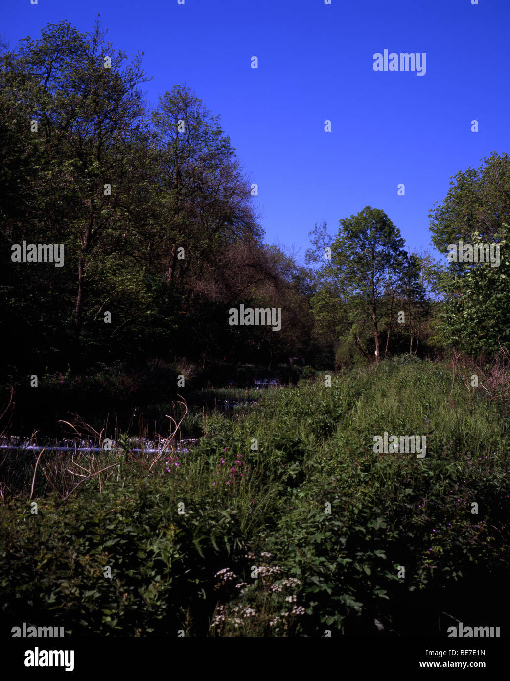 The River Lathkill Lathkill Dale Derbyshire England Stock Photo - Alamy