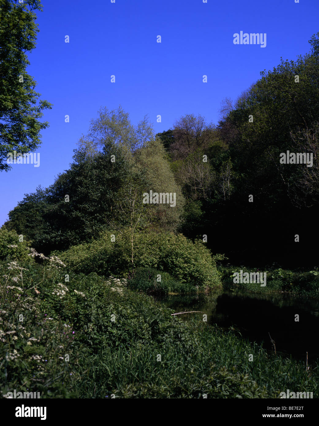 The River Lathkill Lathkill Dale Derbyshire England Stock Photo - Alamy