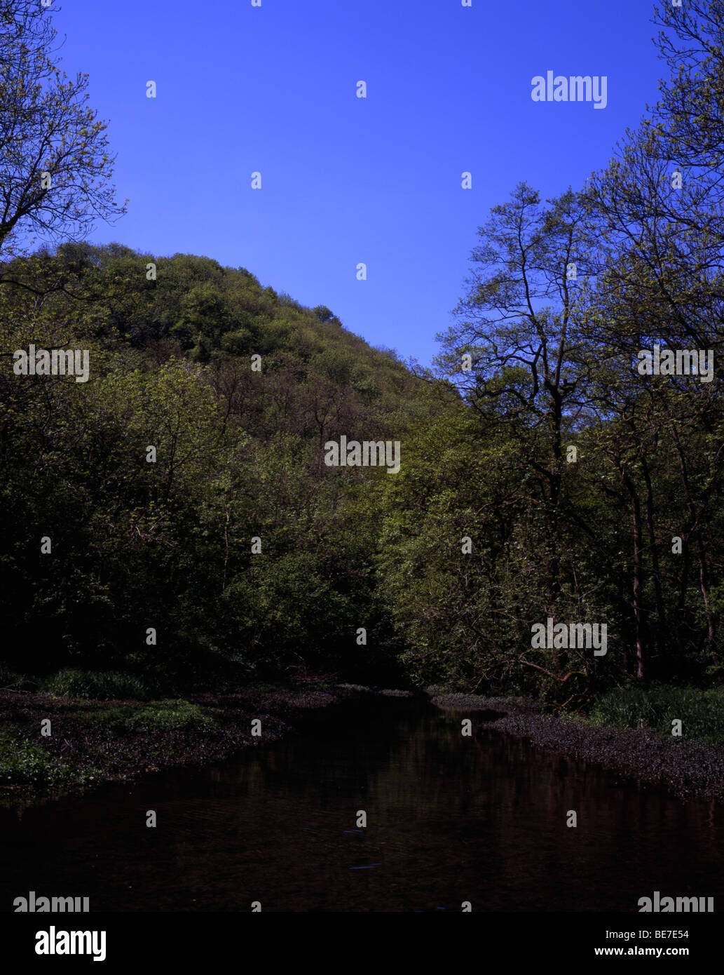 The River Lathkill Lathkill Dale Derbyshire England Stock Photo - Alamy