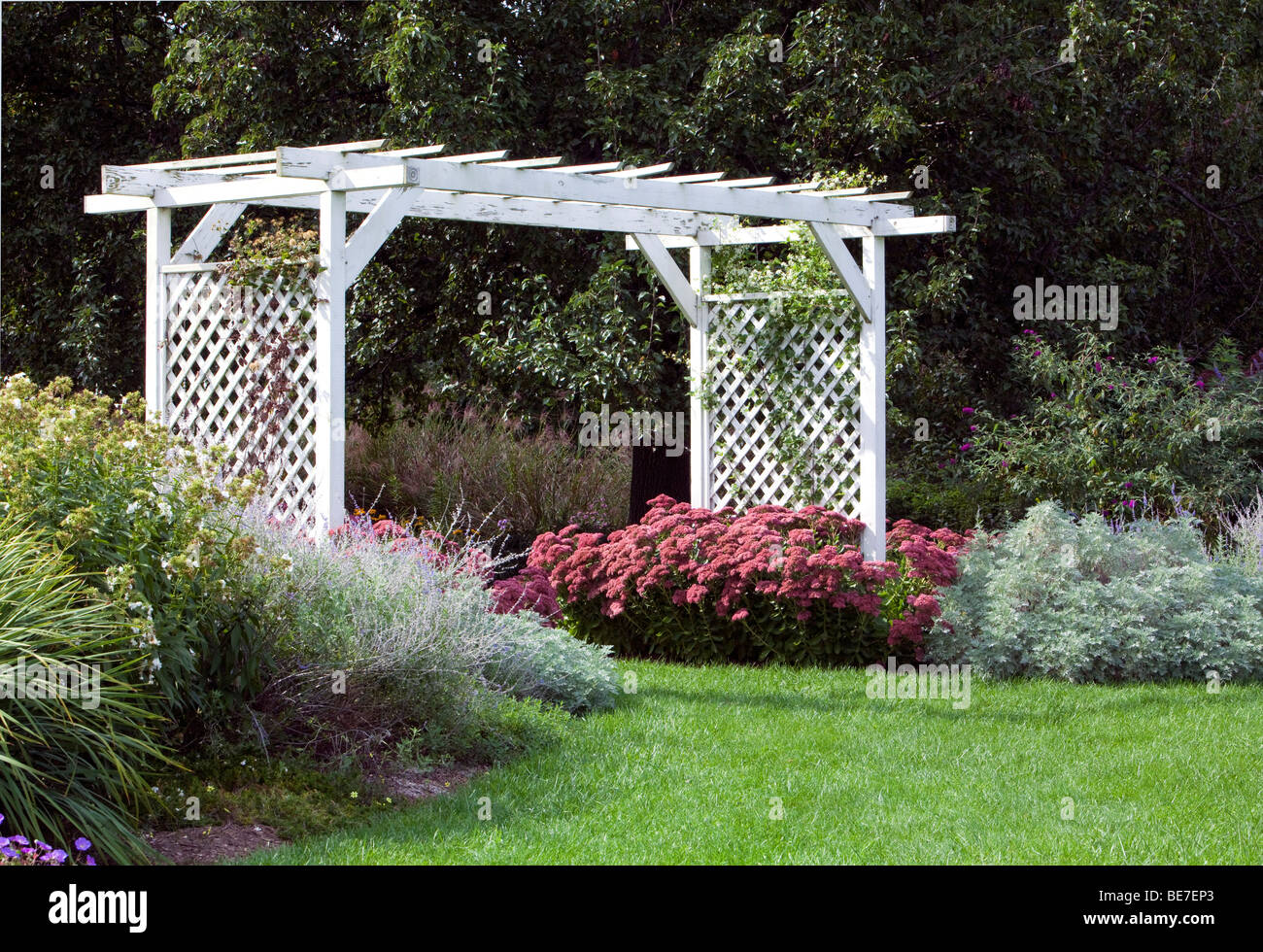 A white arbor in a garden. There are flowers and shrubs and a ...