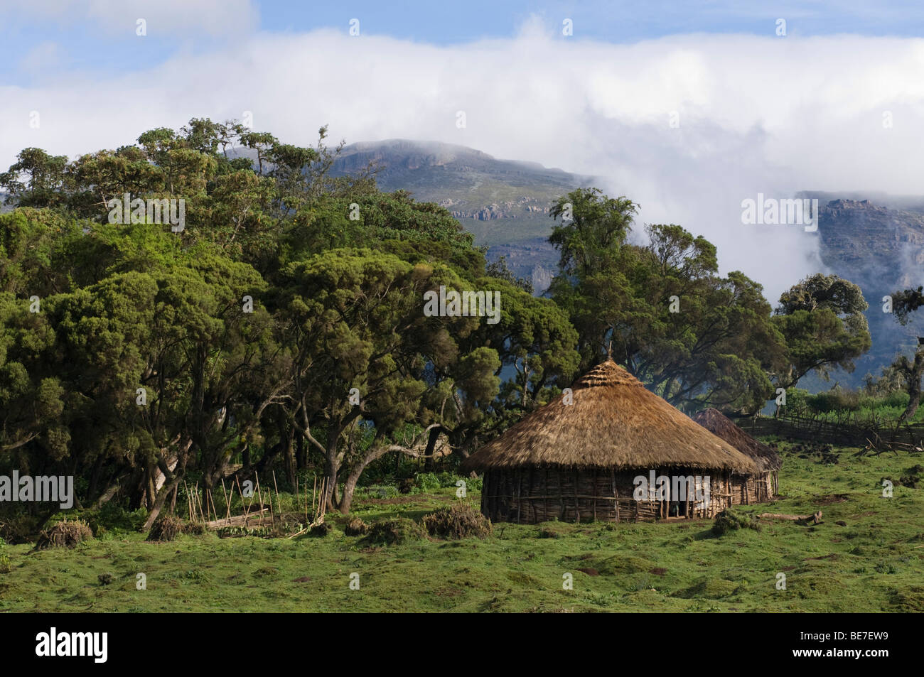 hut in Harenna forest, Bale Mountains National Park, Ethiopia Stock ...