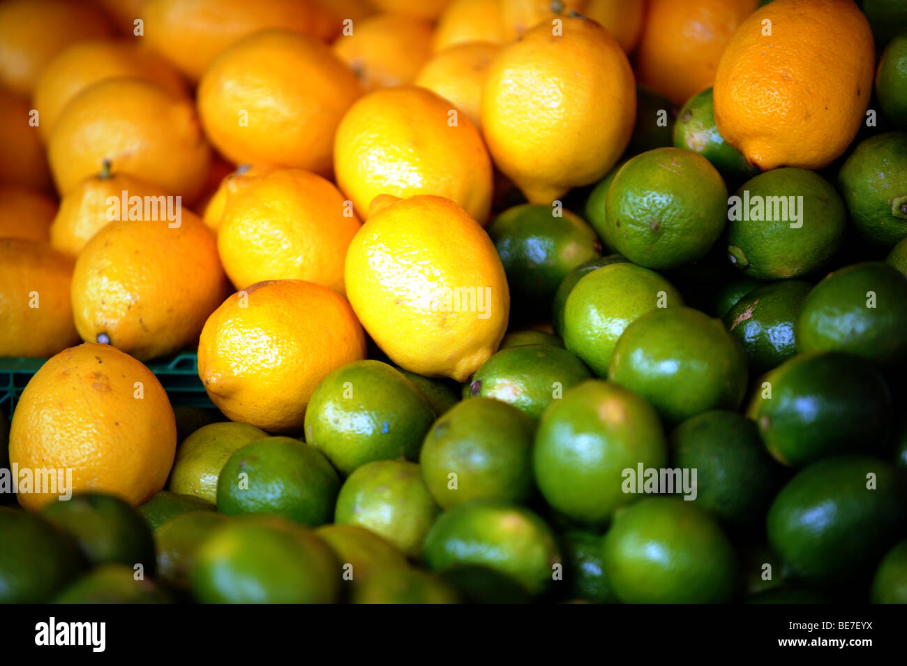 Display of lemons and limes healthy eating a great source of vitamin c ...