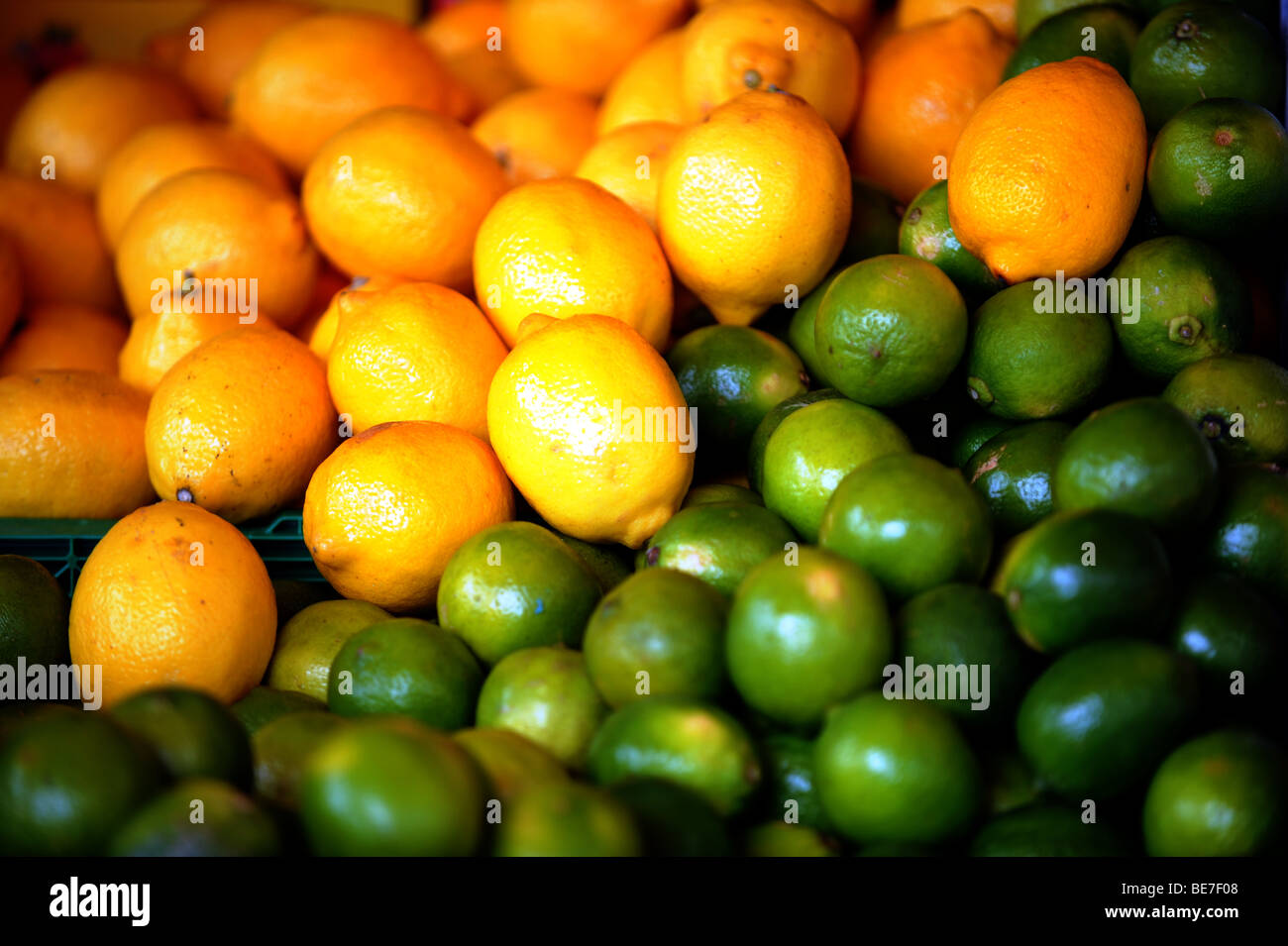 Display of lemons and limes healthy eating a great source of vitamin c ...