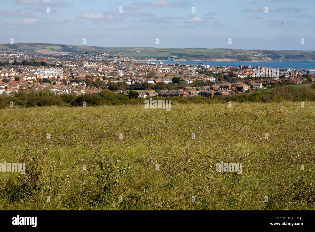 hardy's monument view dorset england uk gb Stock Photo - Alamy