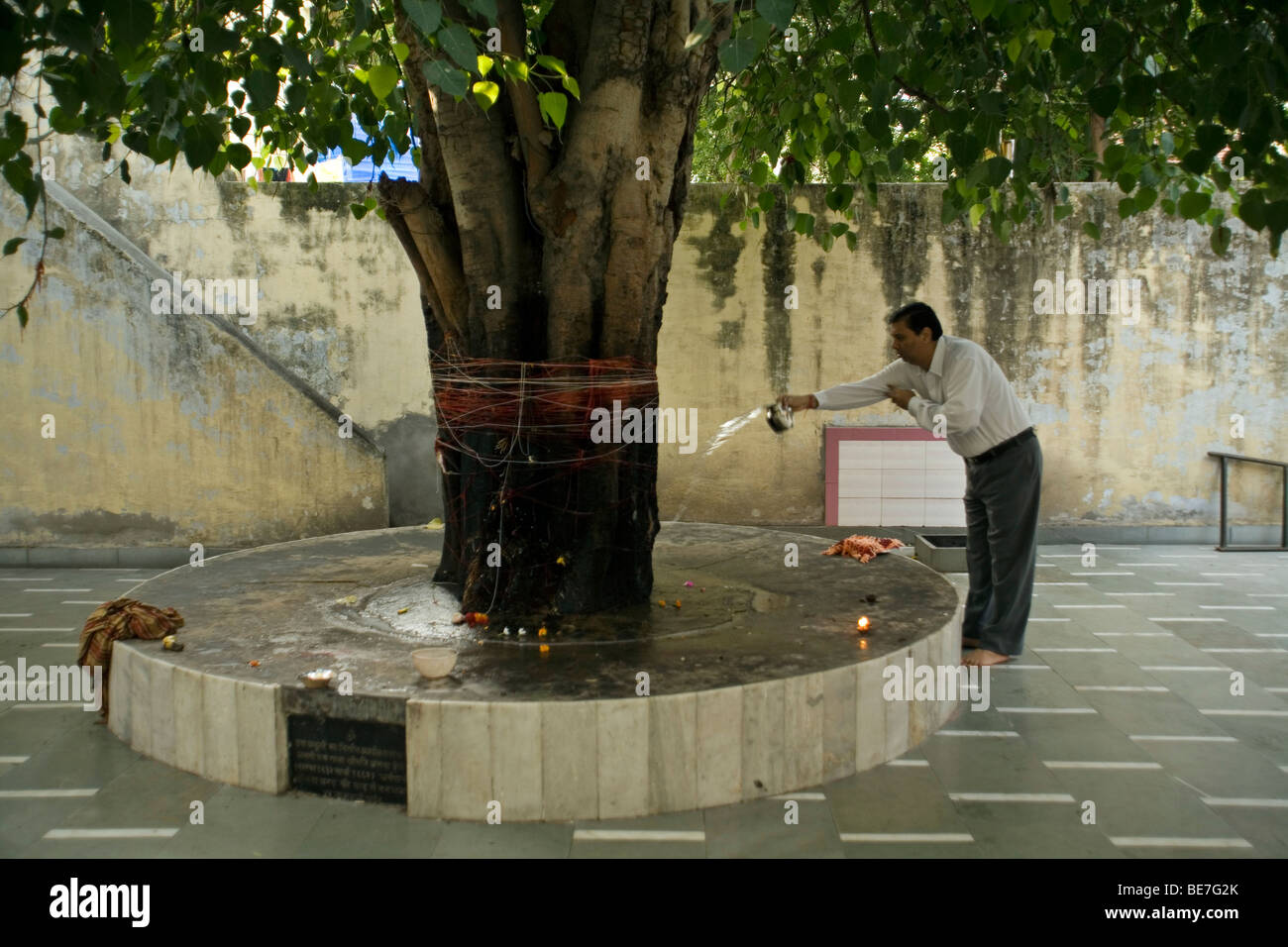 Hindu temple and tree hi-res stock photography and images - Alamy
