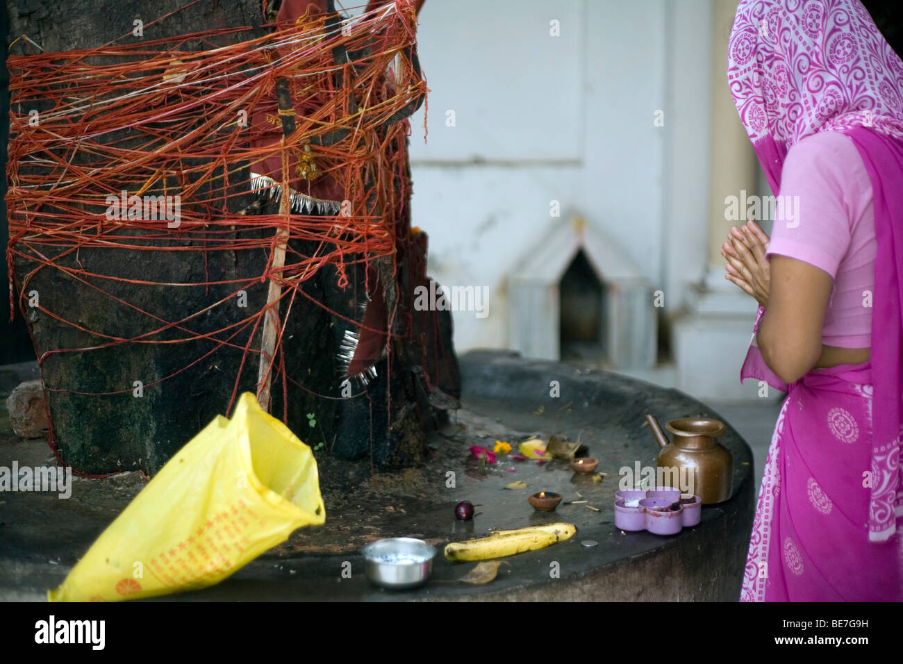 A woman makes an offering to the gods at a tree shrine in a Hindu ...