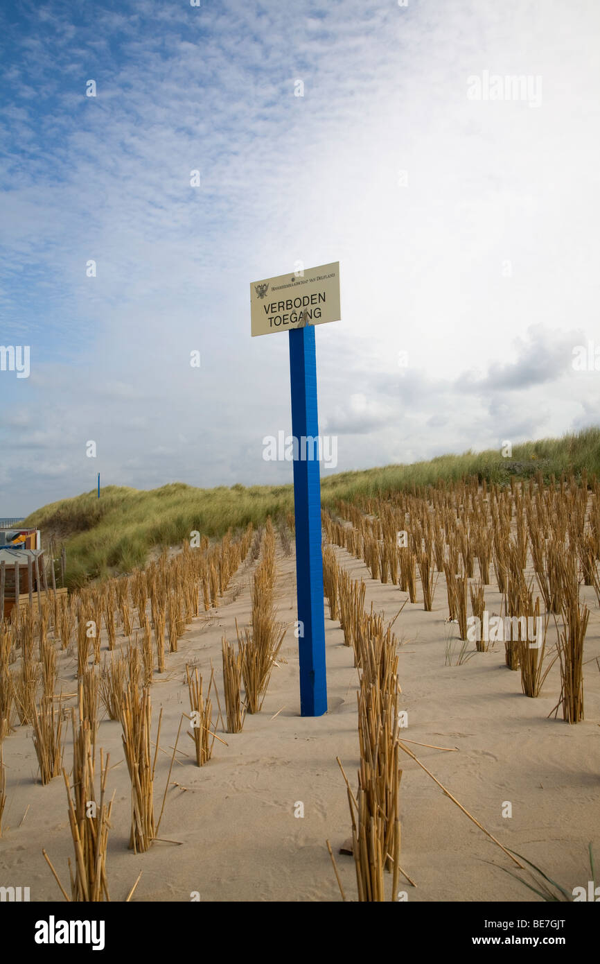Sand dunes south of Scheveningen Holland Stock Photo - Alamy