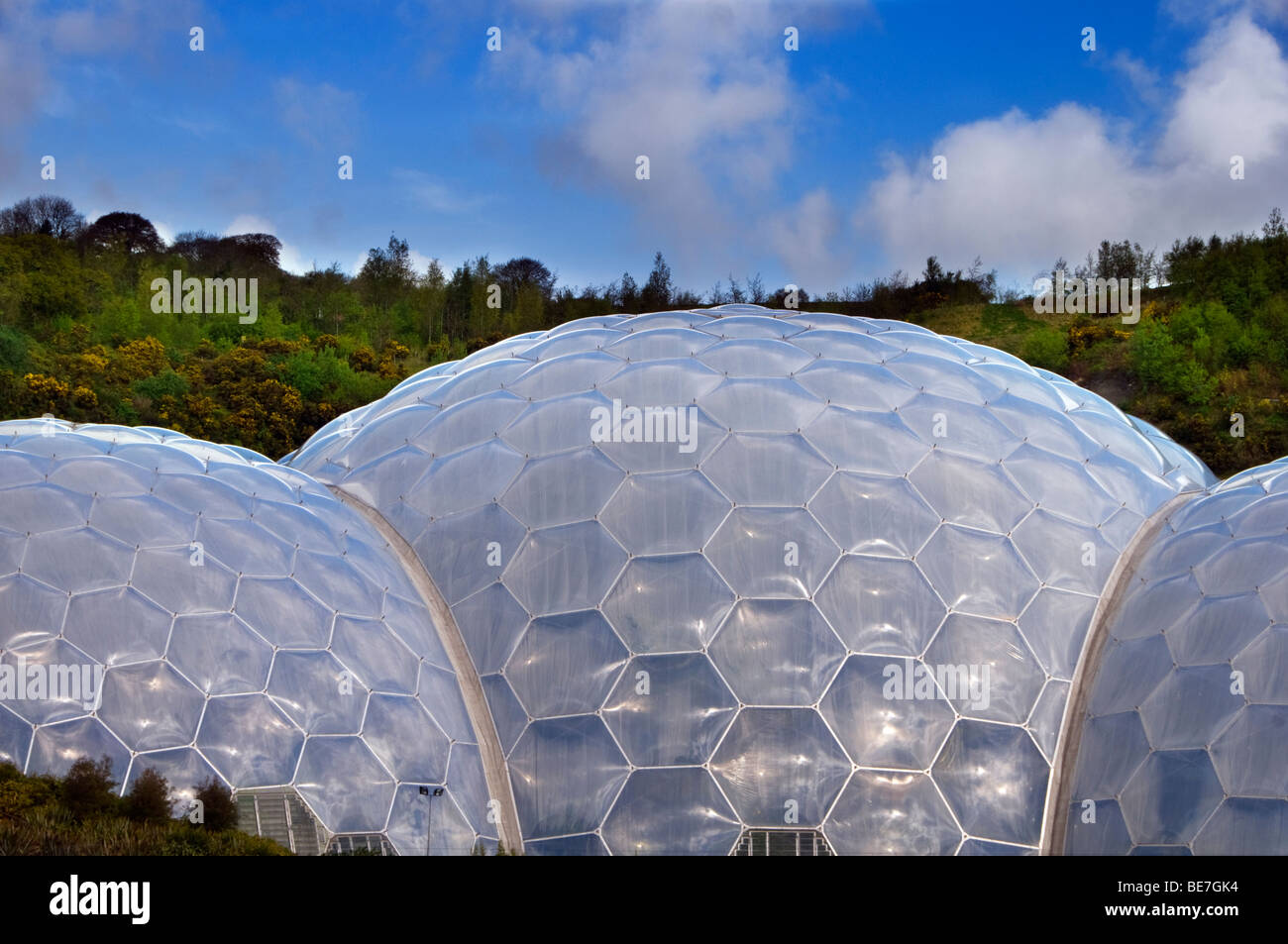 England biome environment hi-res stock photography and images - Alamy