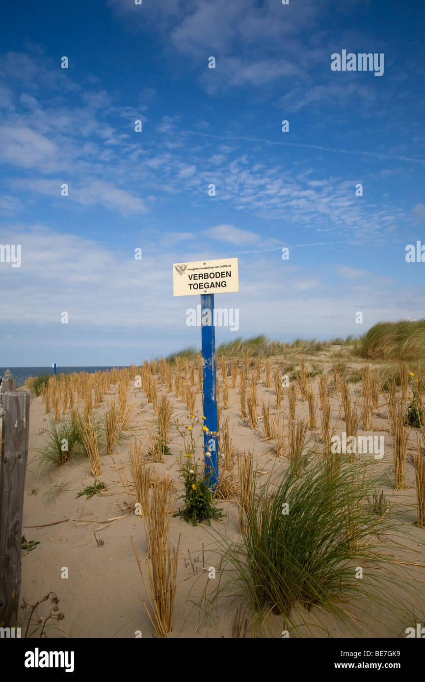 Sand dunes south of Scheveningen Holland Stock Photo - Alamy
