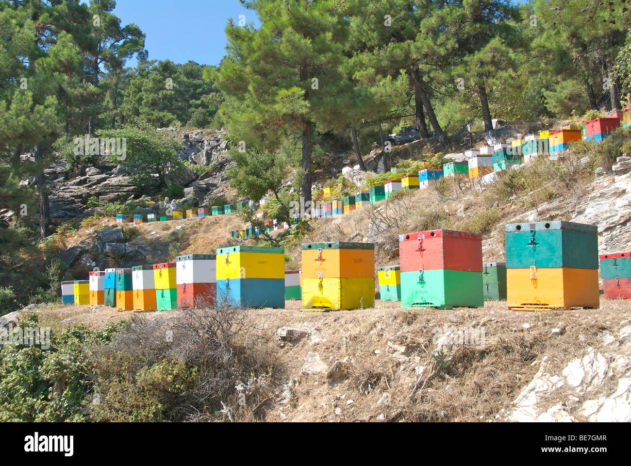Greek island bee hi-res stock photography and images - Alamy