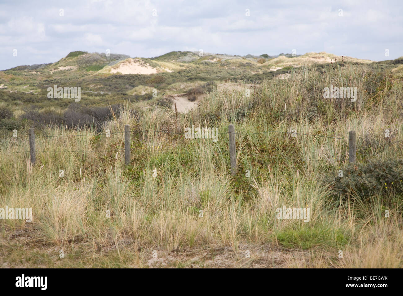 Sand dunes south of Scheveningen Holland Stock Photo - Alamy