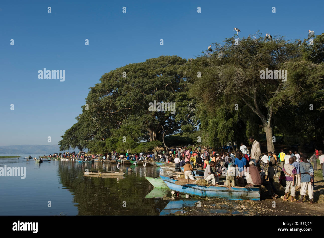 Fish market, lake Awassa, Ethiopia Stock Photo - Alamy