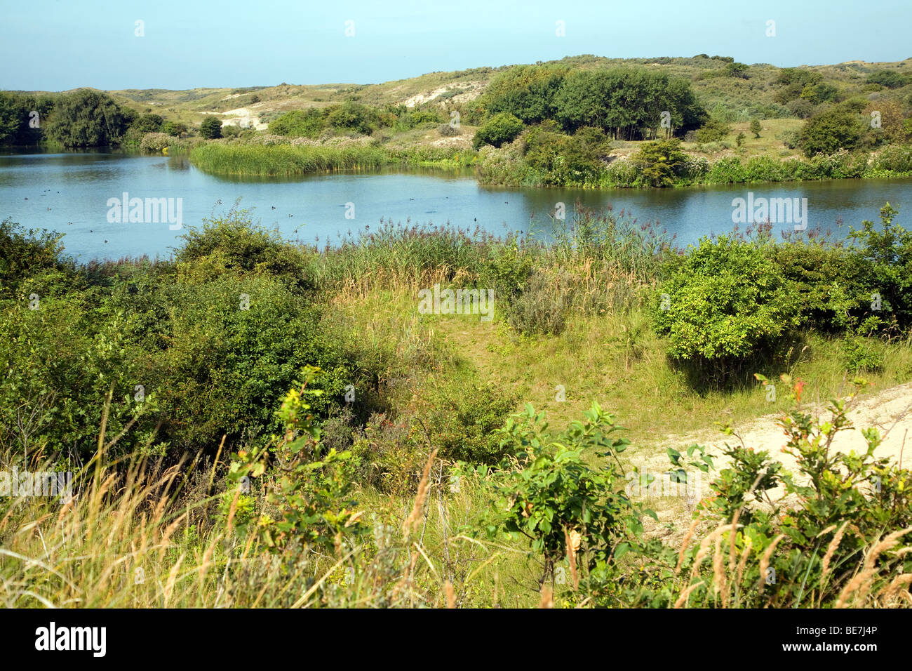 The Dunes between Scheveningen and Katwijk Holland Stock Photo - Alamy