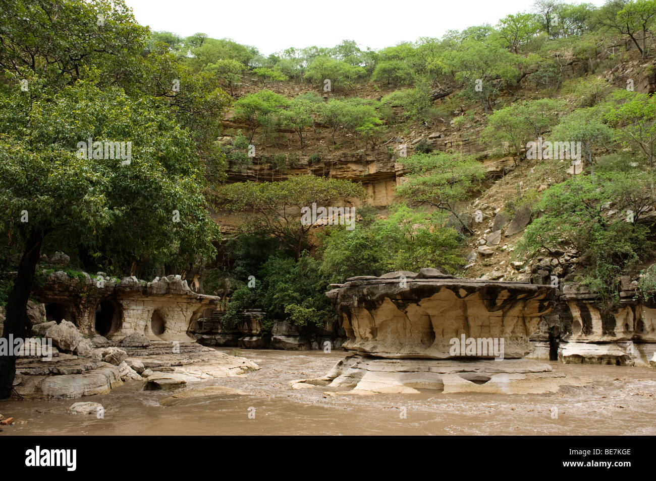 Sof omar hi-res stock photography and images - Alamy