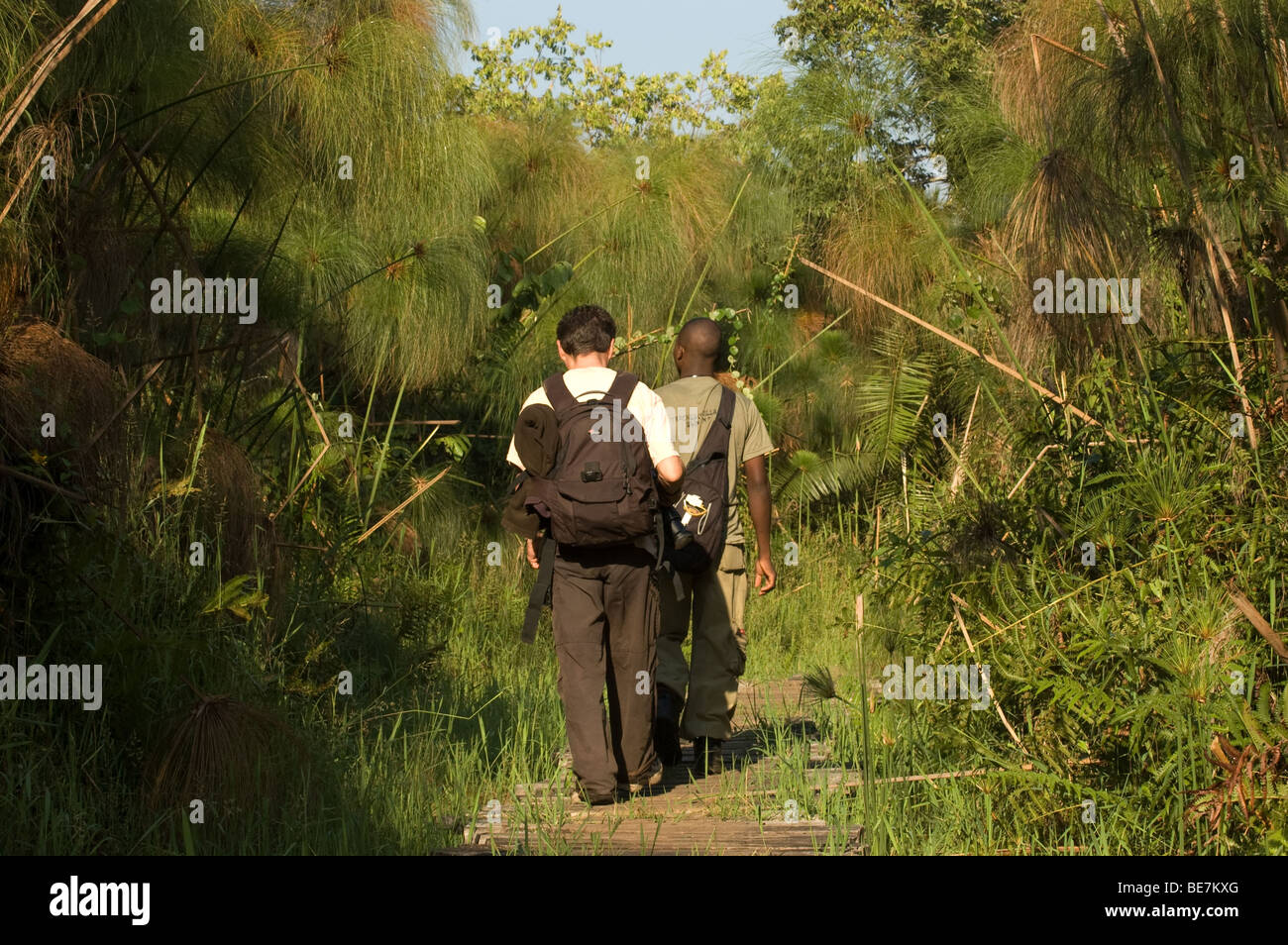 guided walk in Bigodi Wetland Sanctuary Stock Photo - Alamy