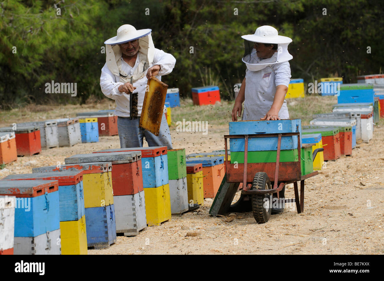 The hives outfit hi-res stock photography and images - Alamy