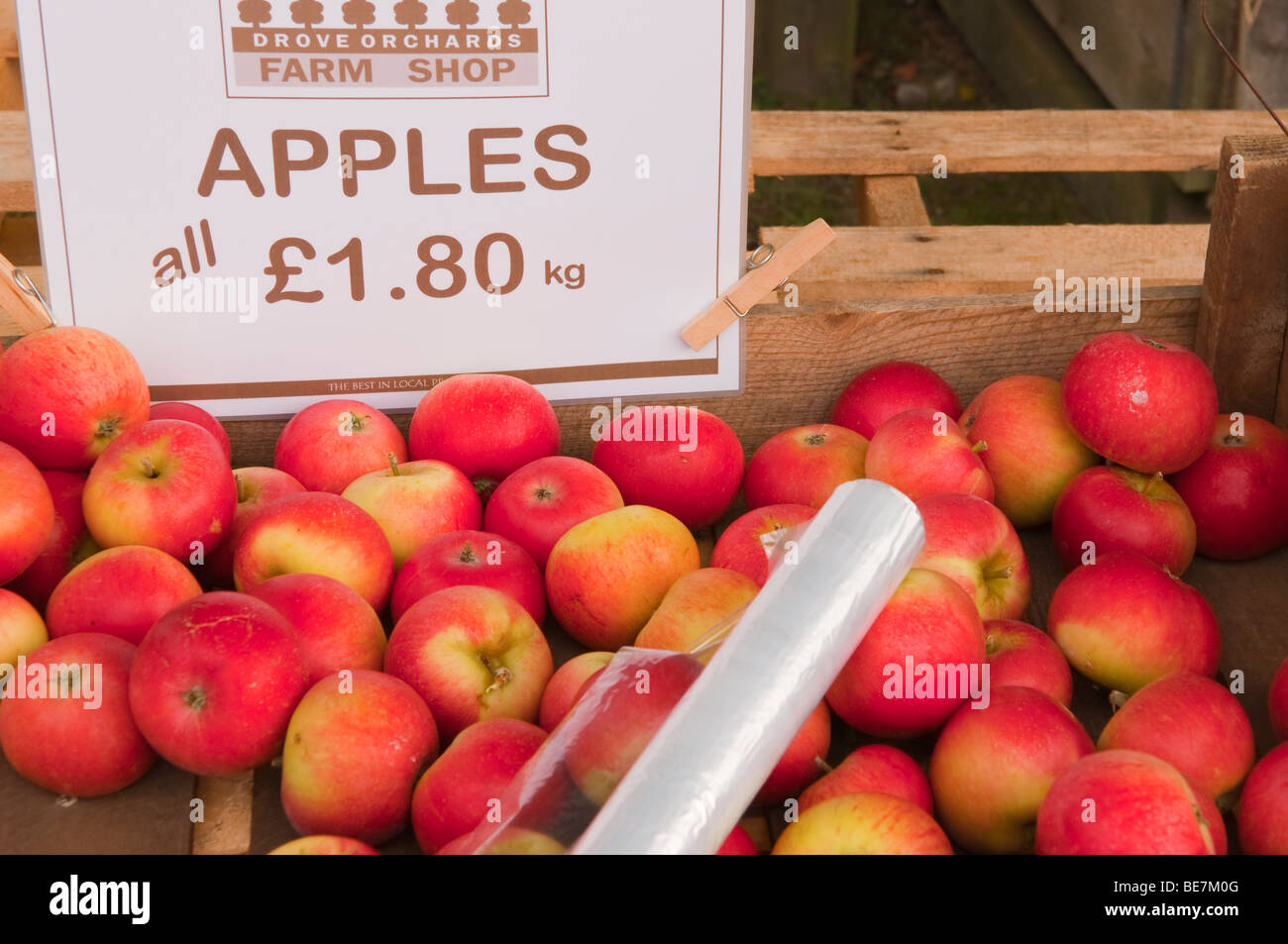 Grown in norfolk england hi-res stock photography and images - Alamy