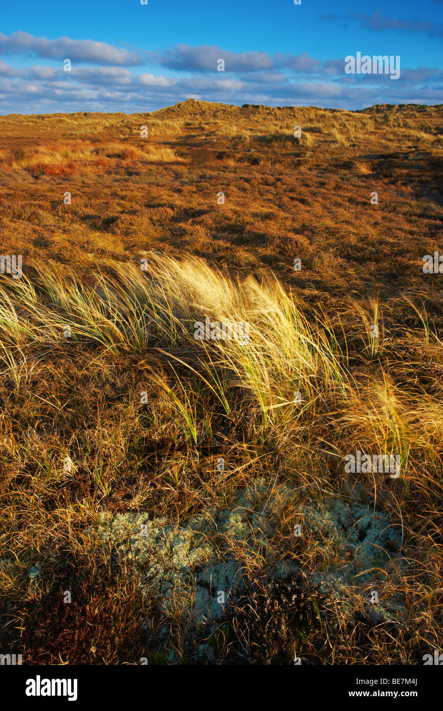 Winterton dunes hi-res stock photography and images - Alamy