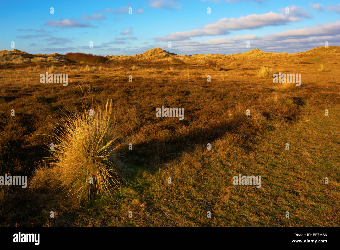 Winterton dunes hi-res stock photography and images - Alamy