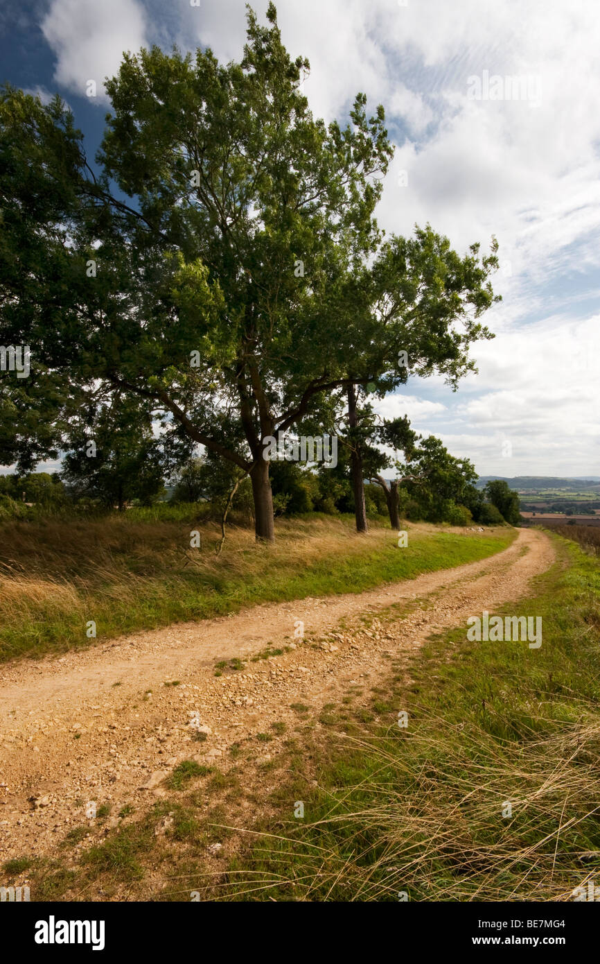 Cotswold stone farm track hi-res stock photography and images - Alamy
