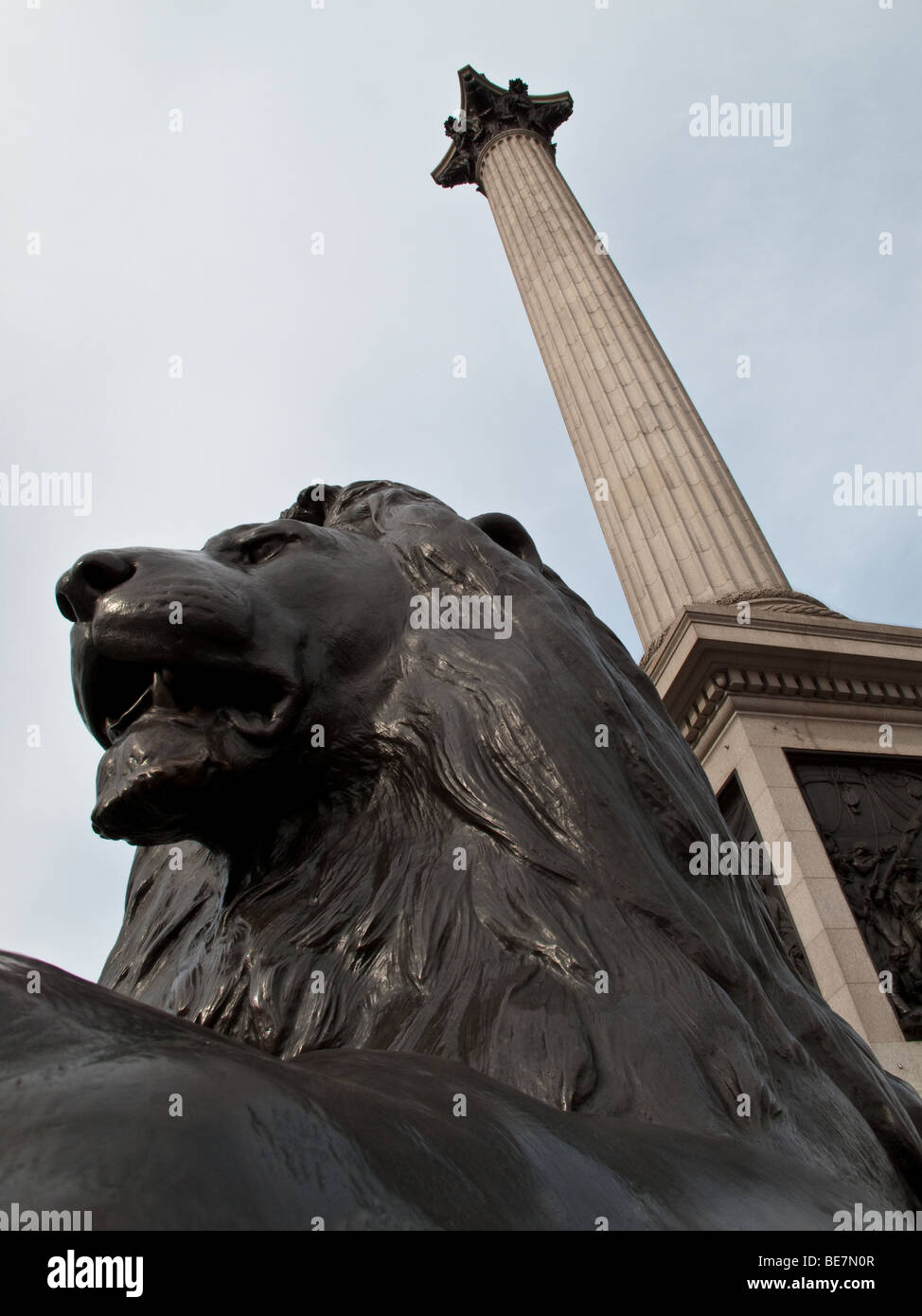 Landseer nelsons column hi-res stock photography and images - Alamy