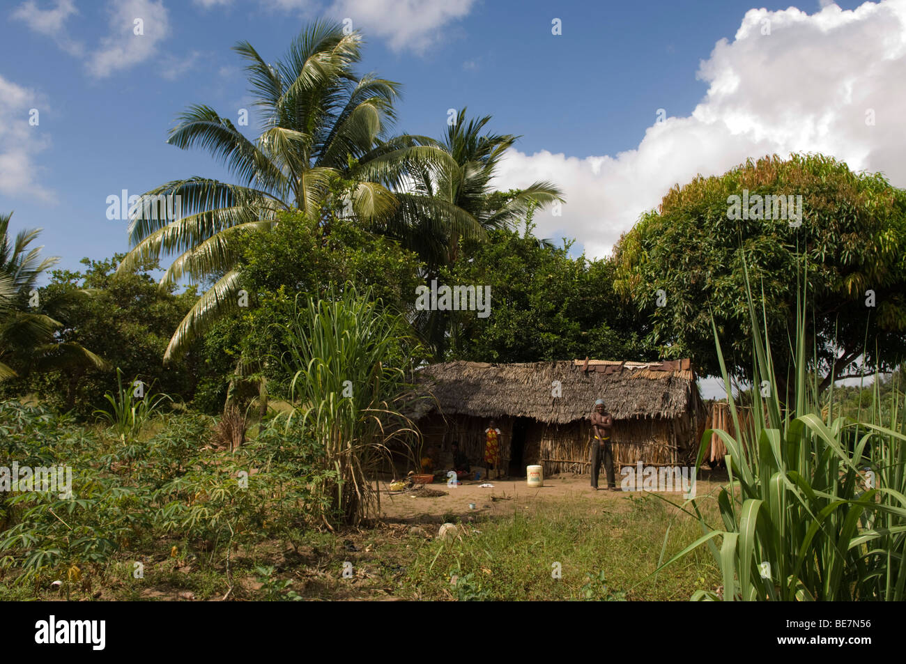 Kenya Homestead Stock Photos & Kenya Homestead Stock Images - Alamy