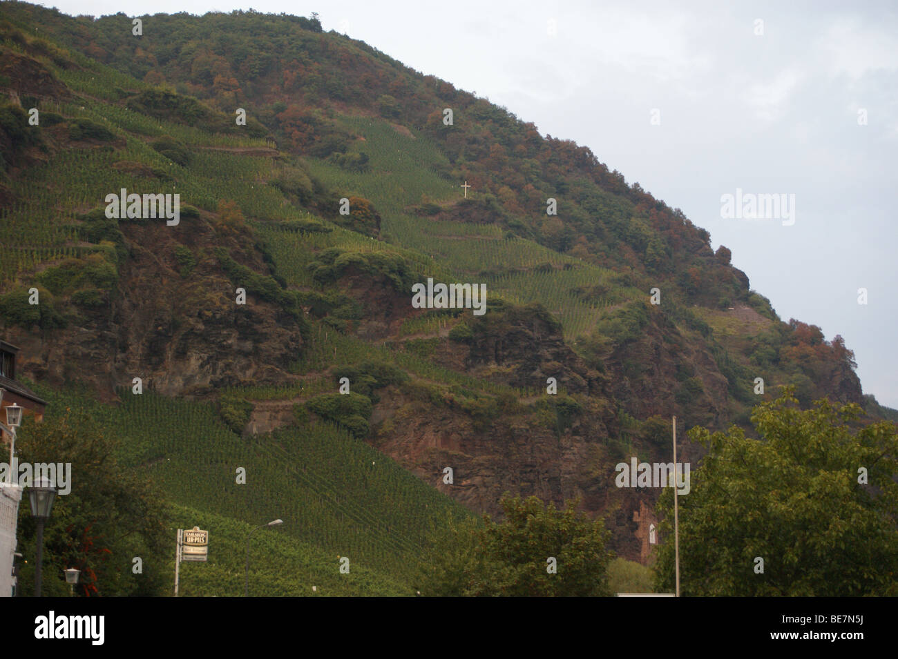 Erdener Treppchen vines near Urzig, Mosel, Germany Stock Photo - Alamy