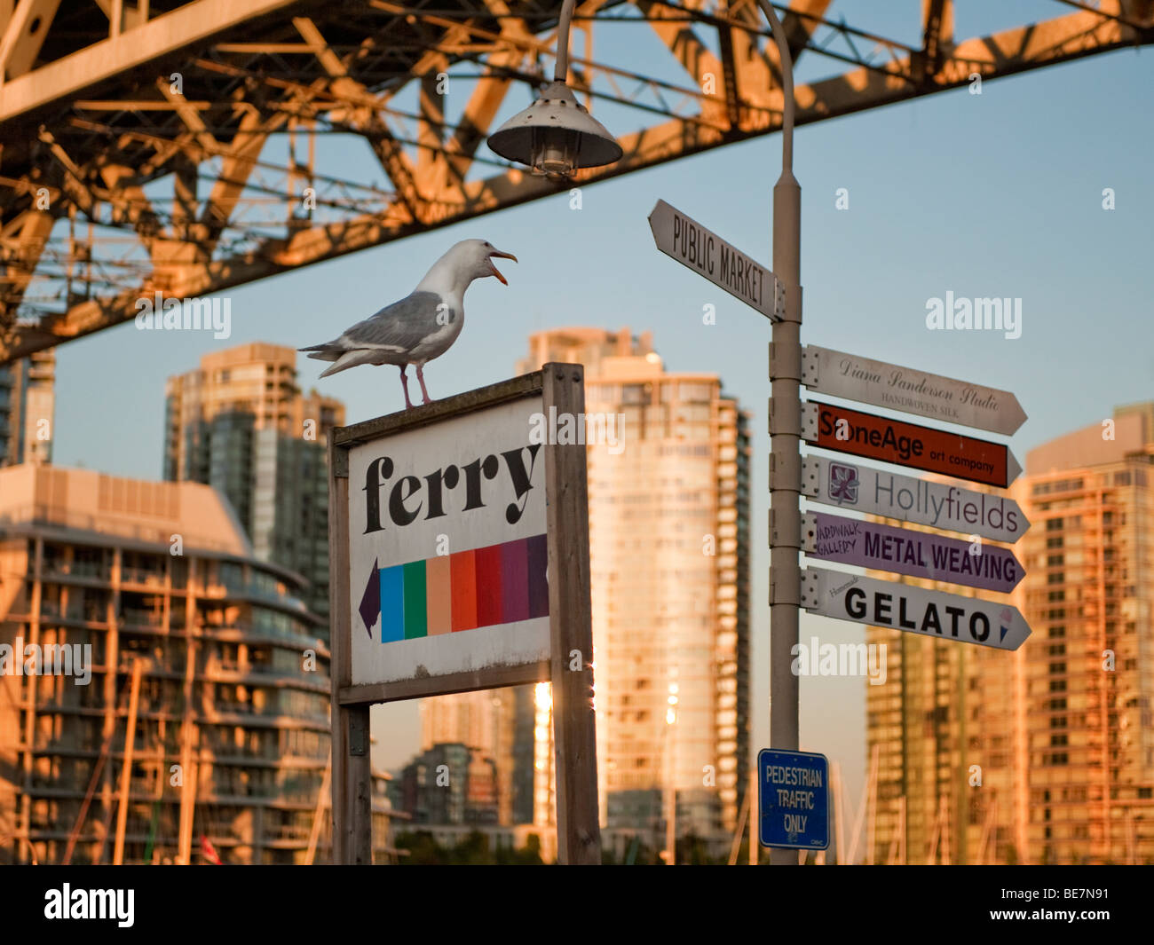 A seagull calls, while standing on a ferry sign at Granville Island ...