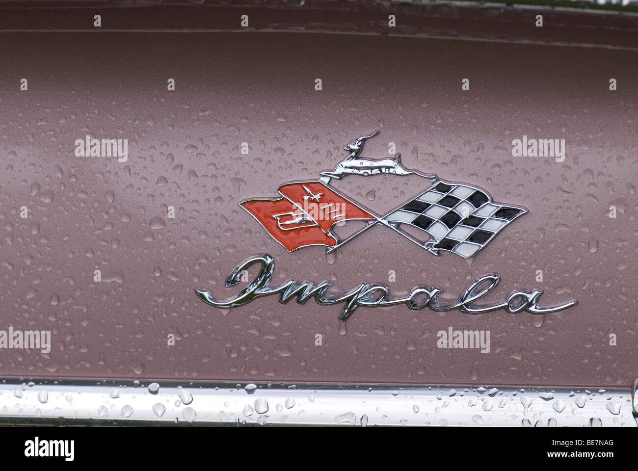 Classic Car Insignia Stock Photo - Alamy