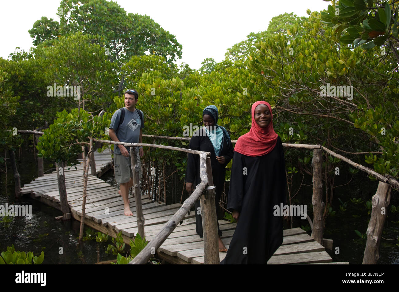 Watching travel culture cultural tradition traditional heritage hi-res ...