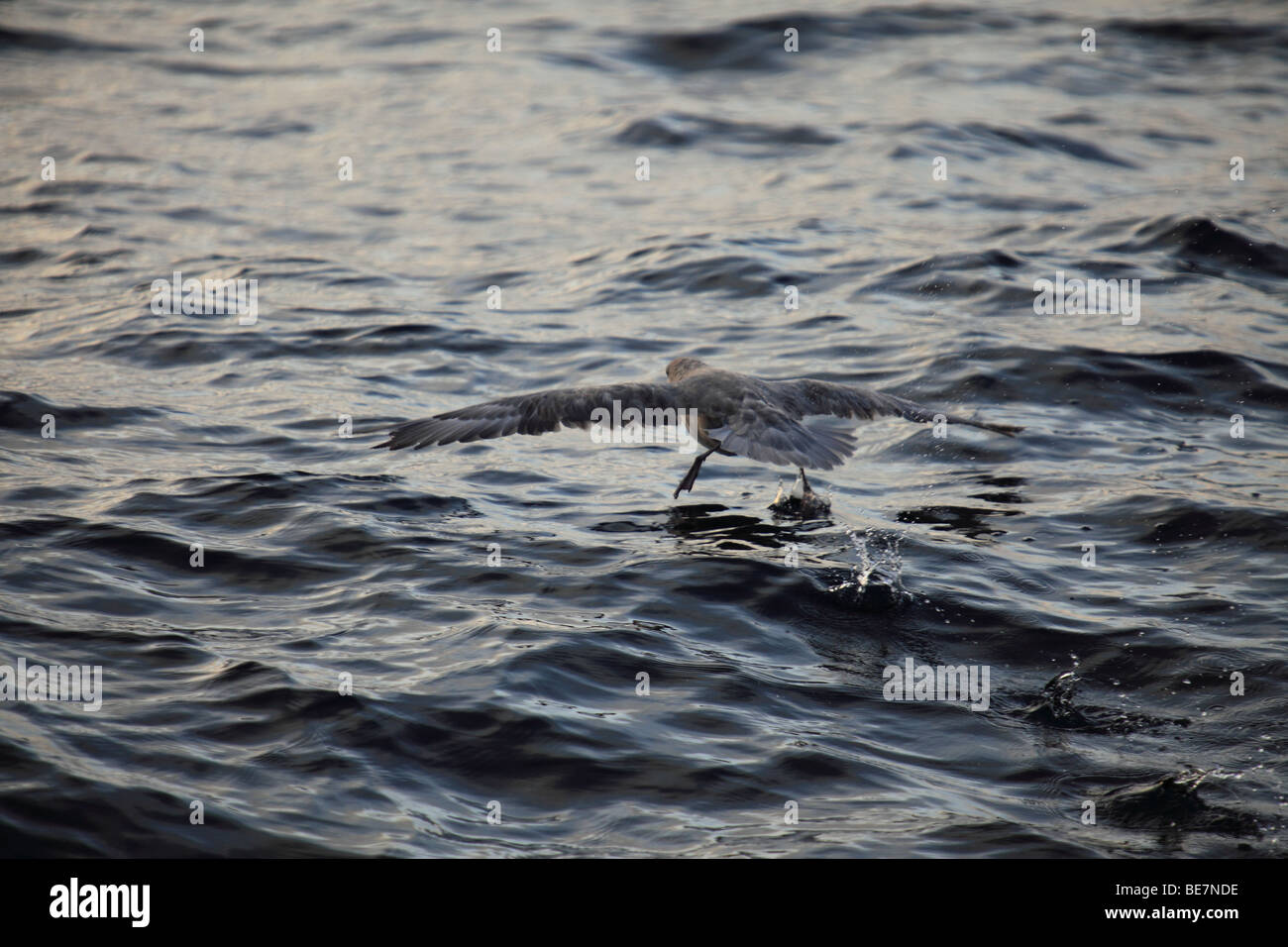 Fulmer hi-res stock photography and images - Alamy