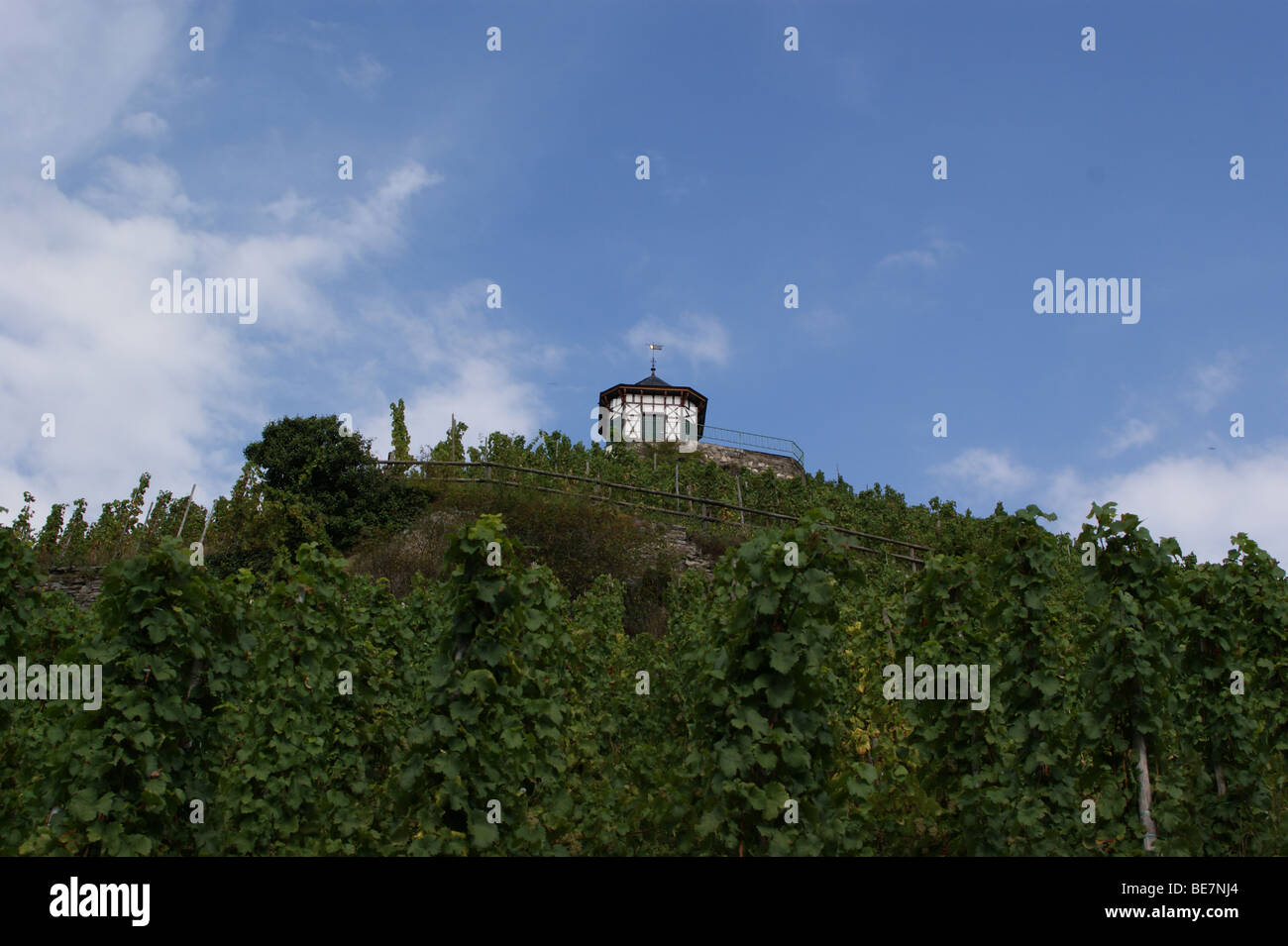 Doctor vineyard, Bernkastel, Mosel, Germany Stock Photo - Alamy