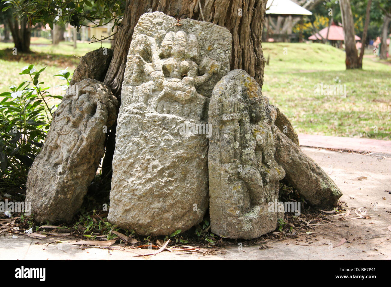 Ancient carved stones lie under a tree at the entrance to Bandipur ...