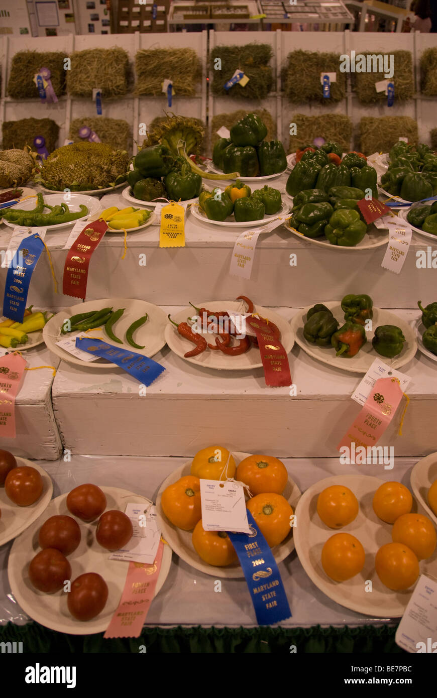 Prize tomatoes hi-res stock photography and images - Alamy