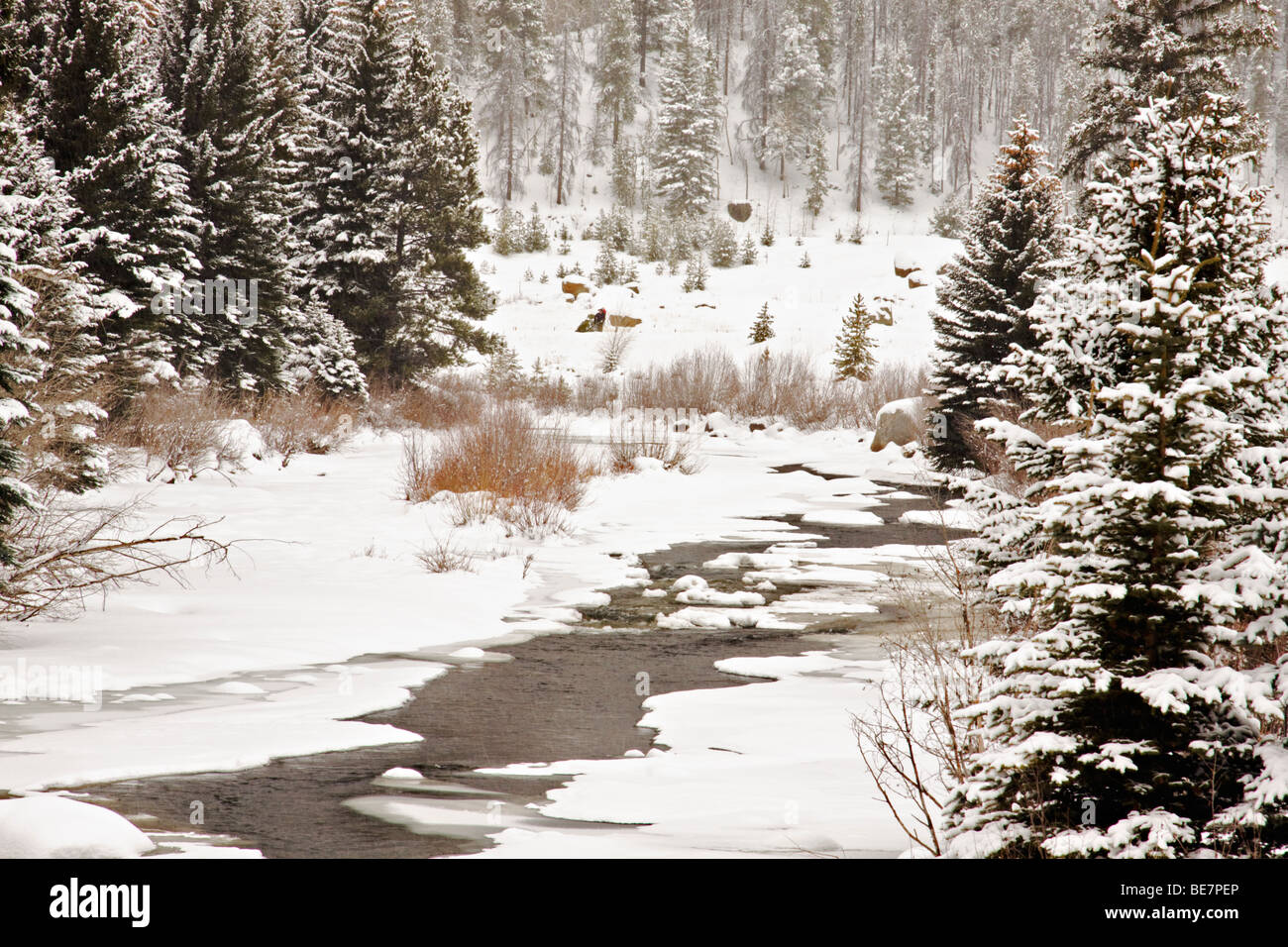 Winter scene in Colorado Stock Photo - Alamy