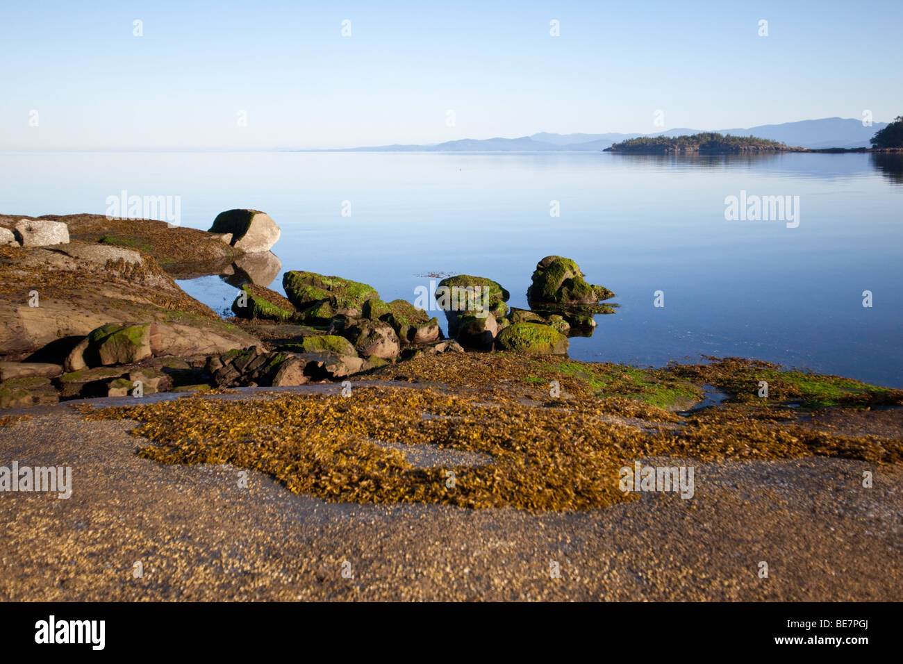 Tidal pool and calm water in a park in Parksville, BC Stock Photo - Alamy