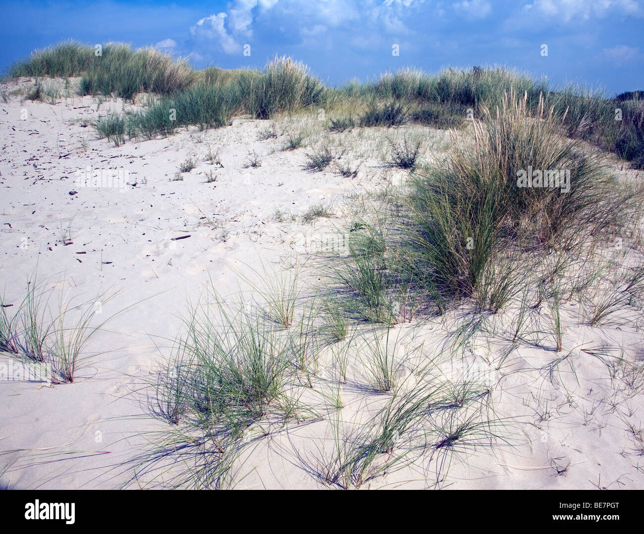 The Dunes between Scheveningen and Katwijk Holland Stock Photo - Alamy