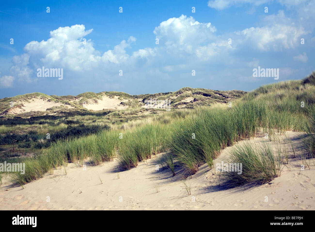 The Dunes between Scheveningen and Katwijk Holland Stock Photo - Alamy